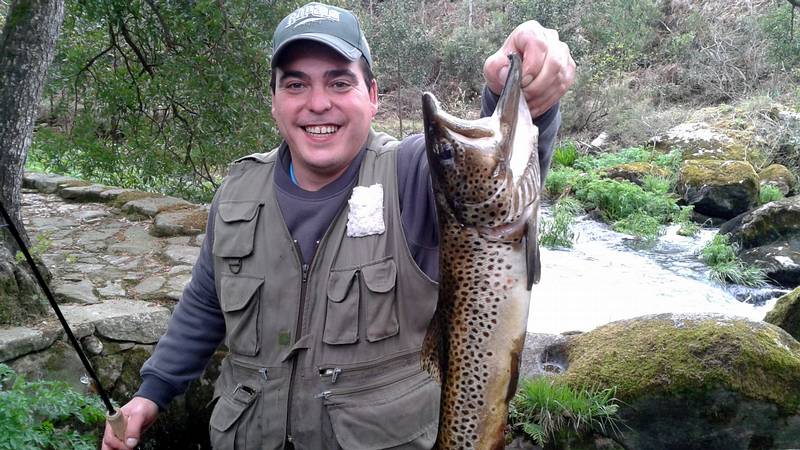 La trucha común se extinguirá en 90 años, según un estudio