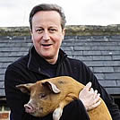 David Cameron, en el centro de la polémica por un supuesto ritual sexual con un cerdo