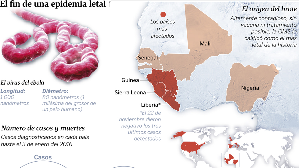 La OMS da por terminada la epidemia de ébola tras 28.637 casos en dos años