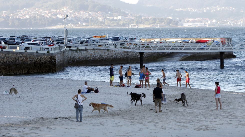 Las playas de perros de Vigo quedan para el 2017