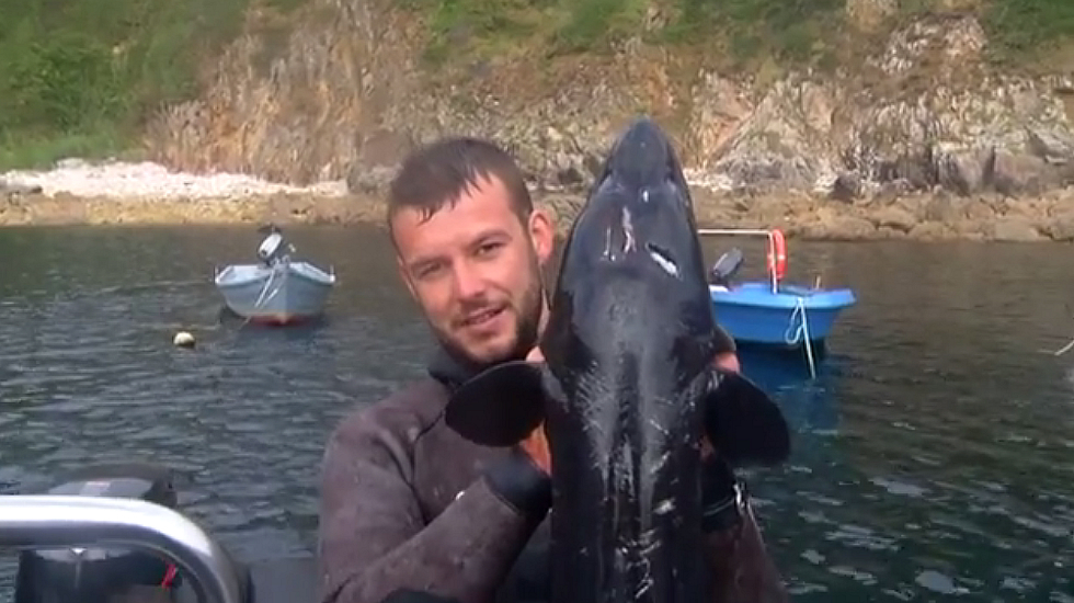 ¿Cómo se pesca un congrio más grande que tú?