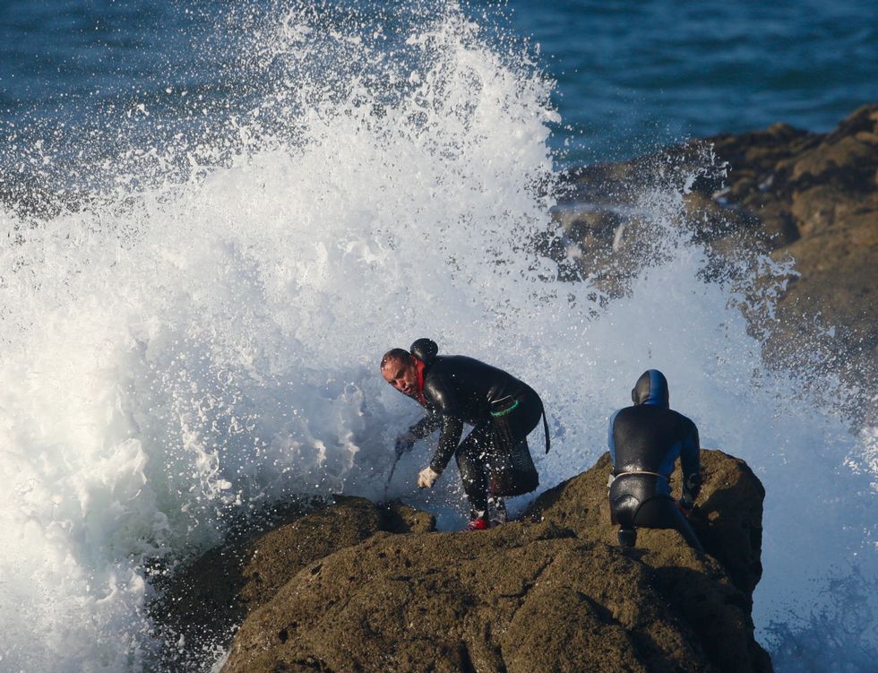El mar da poca tregua a los percebeiros de Camariñas