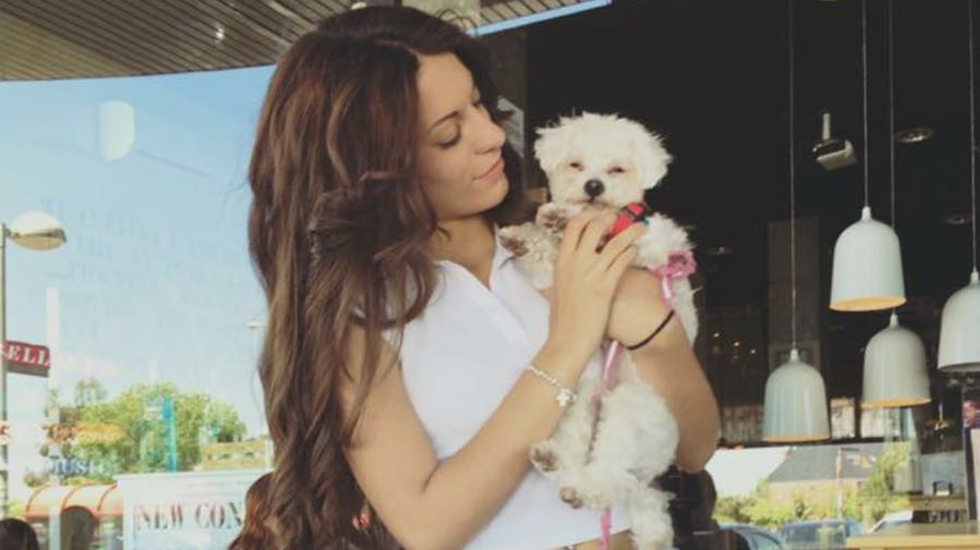 Caso Diana Quer, un laberinto sin salida a la vista