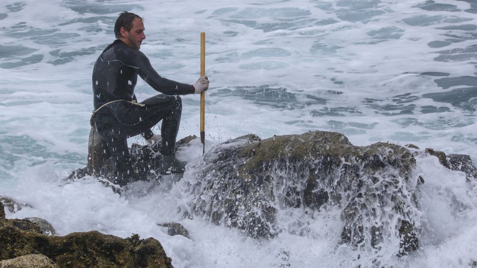 Los percebeiros danzan con el mar para conseguir el mejor percebe del ...
