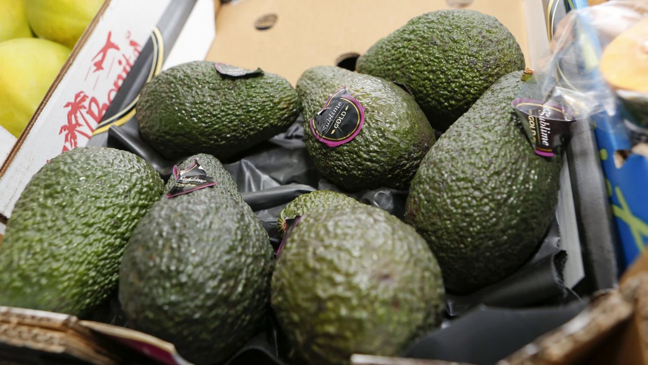 Aguacate, el «oro verde» que está conquistando dietas y mercados