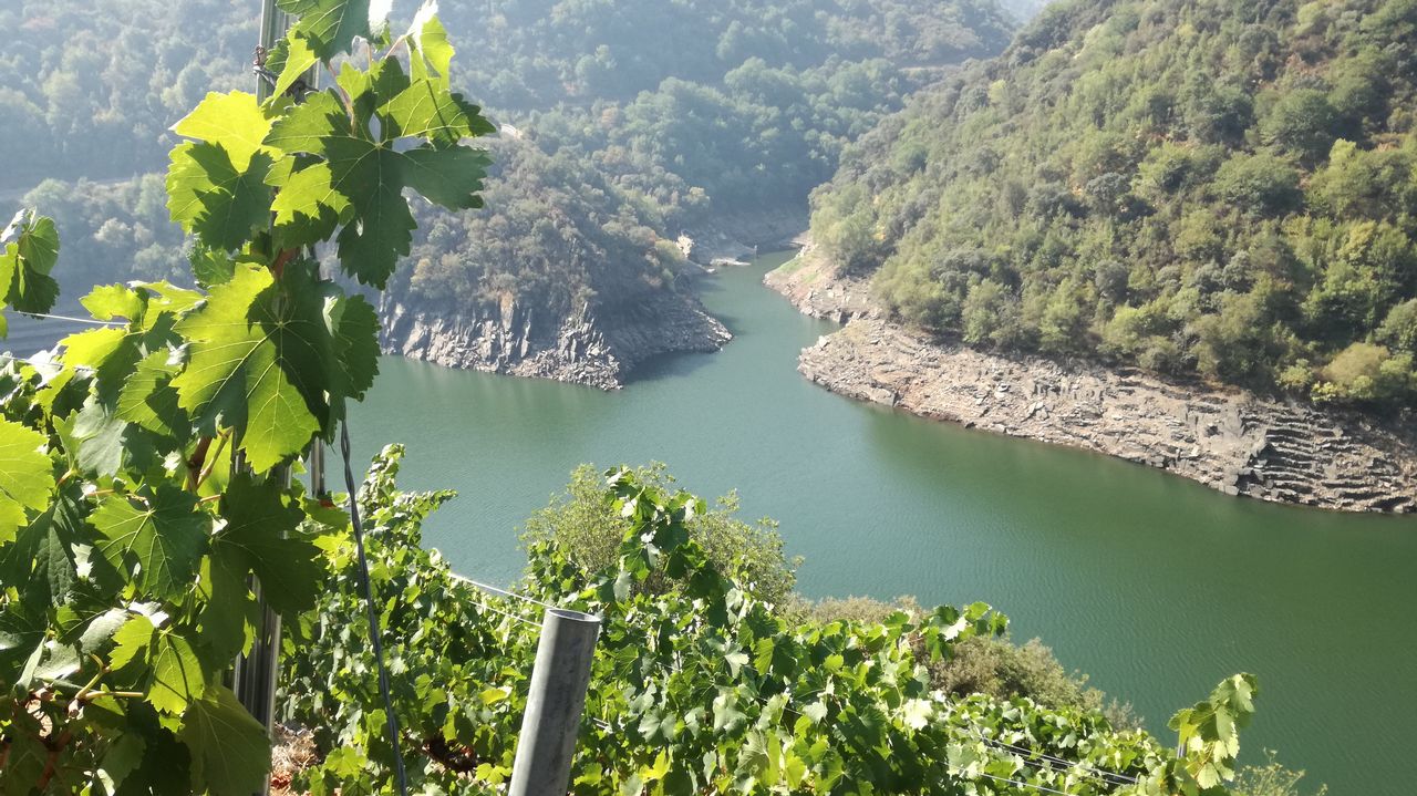 La Ribeira Sacra inicia el camino para ser Patrimonio de la Humanidad