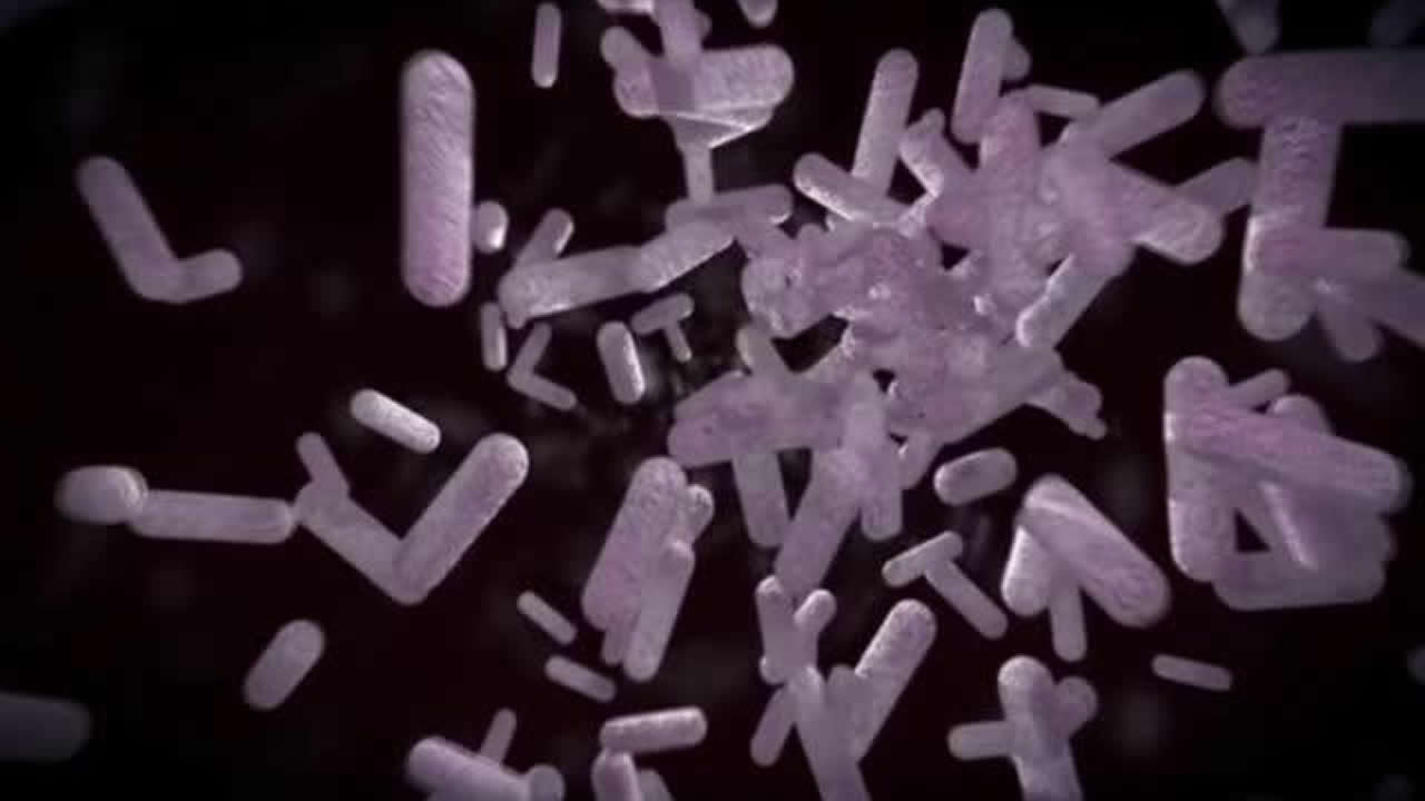 La amenaza de las superbacterias