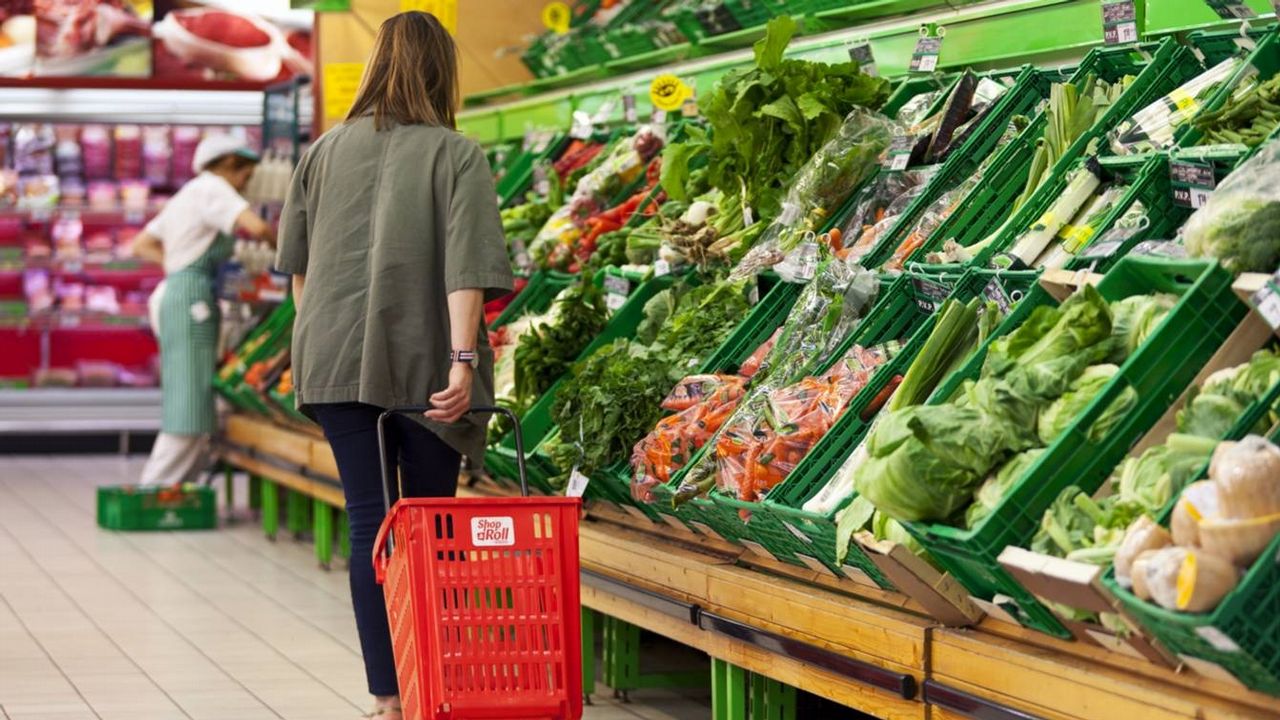 El 45 % de los proveedores de la firma Gadisa son empresas locales