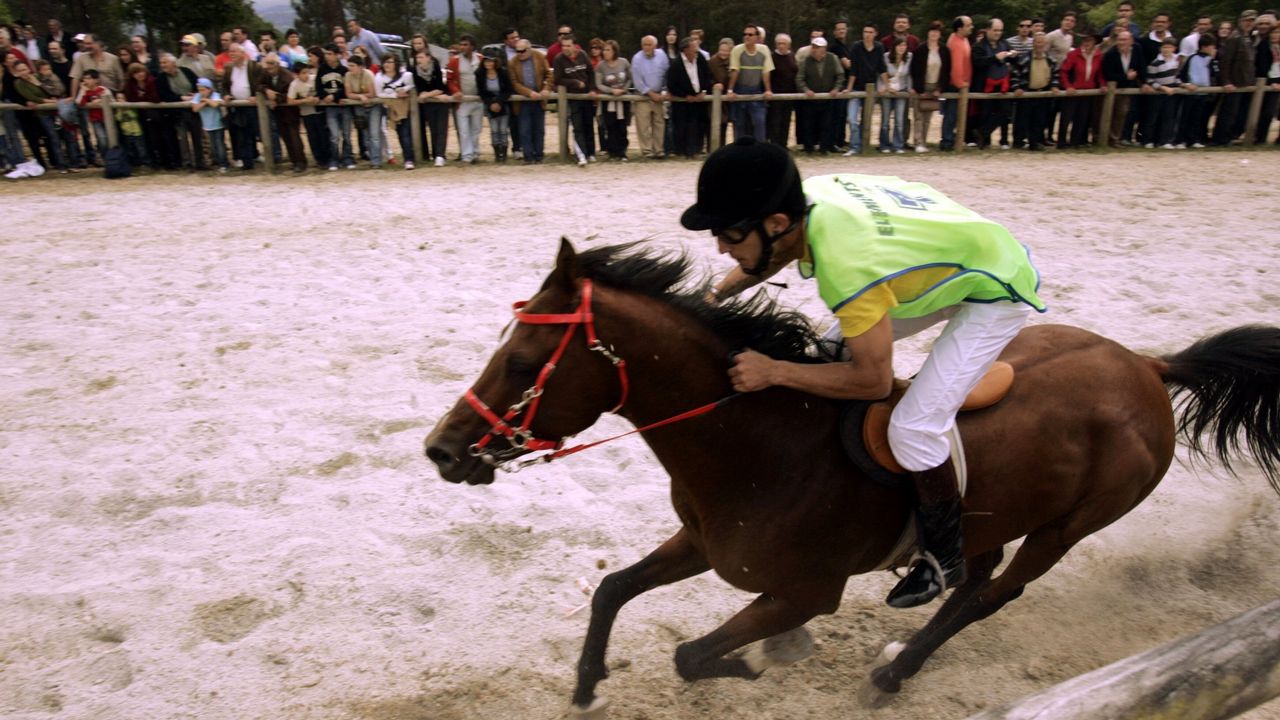 Cartelle celebra la primera edición de la Festa do Cabalo