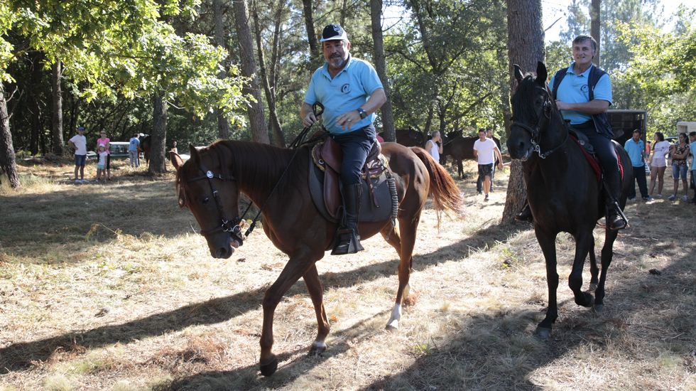 Festa do Cabalo en Maside