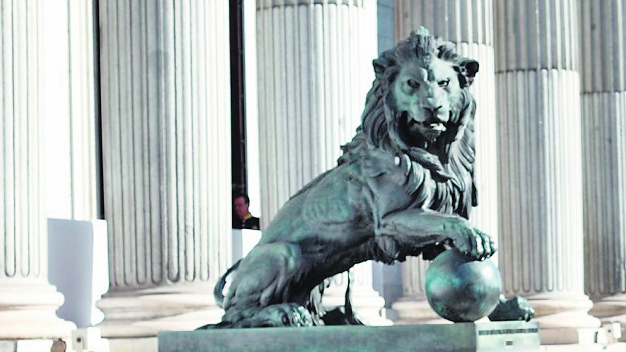 El rey de la selva