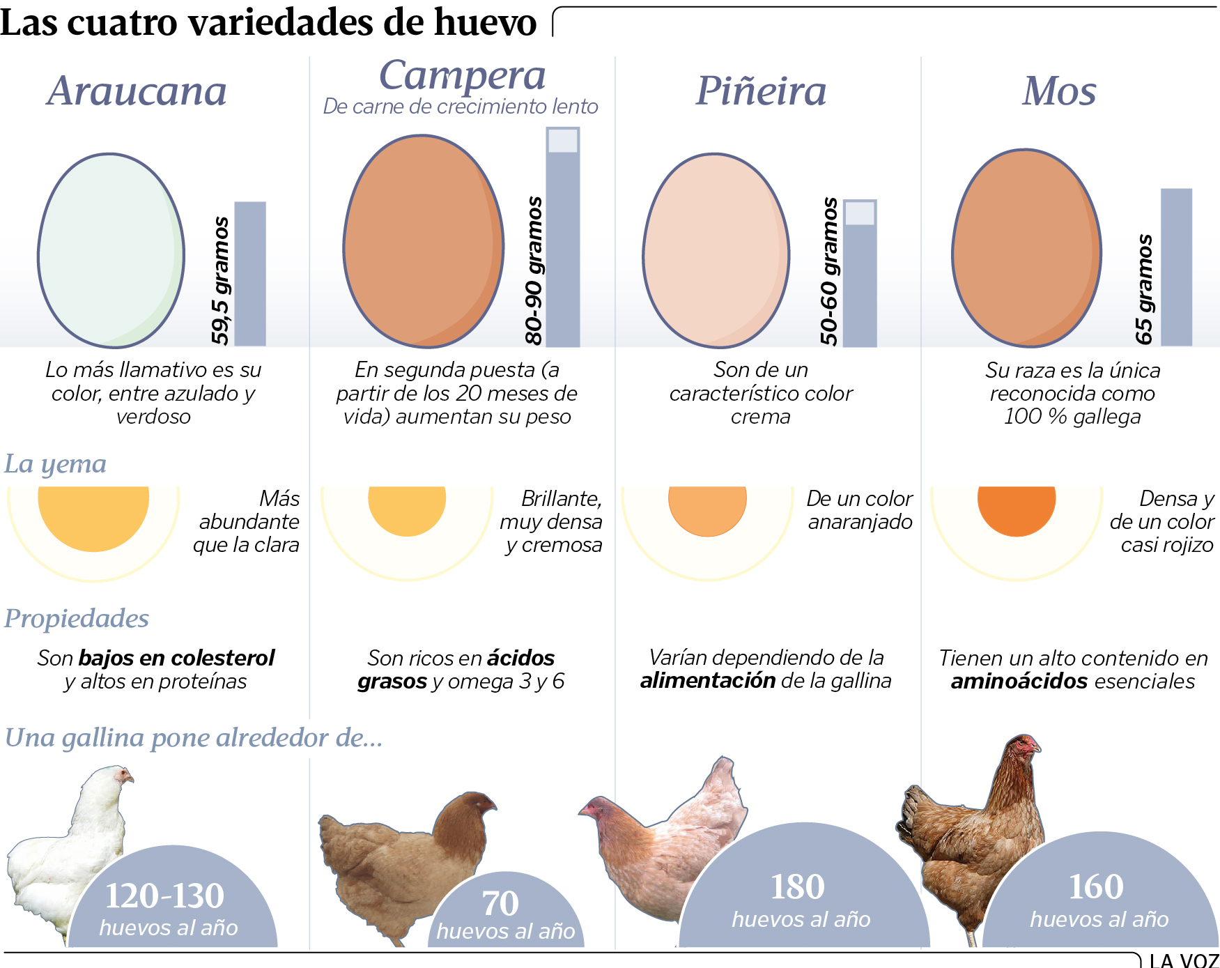 Formación de la cáscara del huevo el papel del calcio El Sitio Avicola