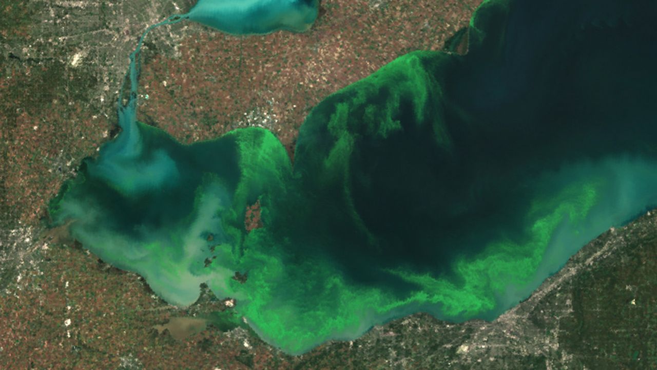 ¿Es el mar de Galicia cada vez más verde?