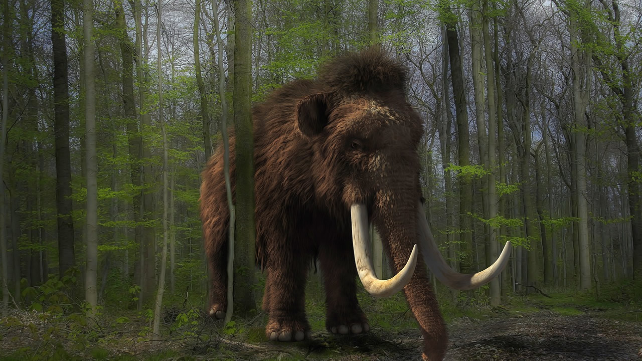 Un paso más en la resucitación del mamut