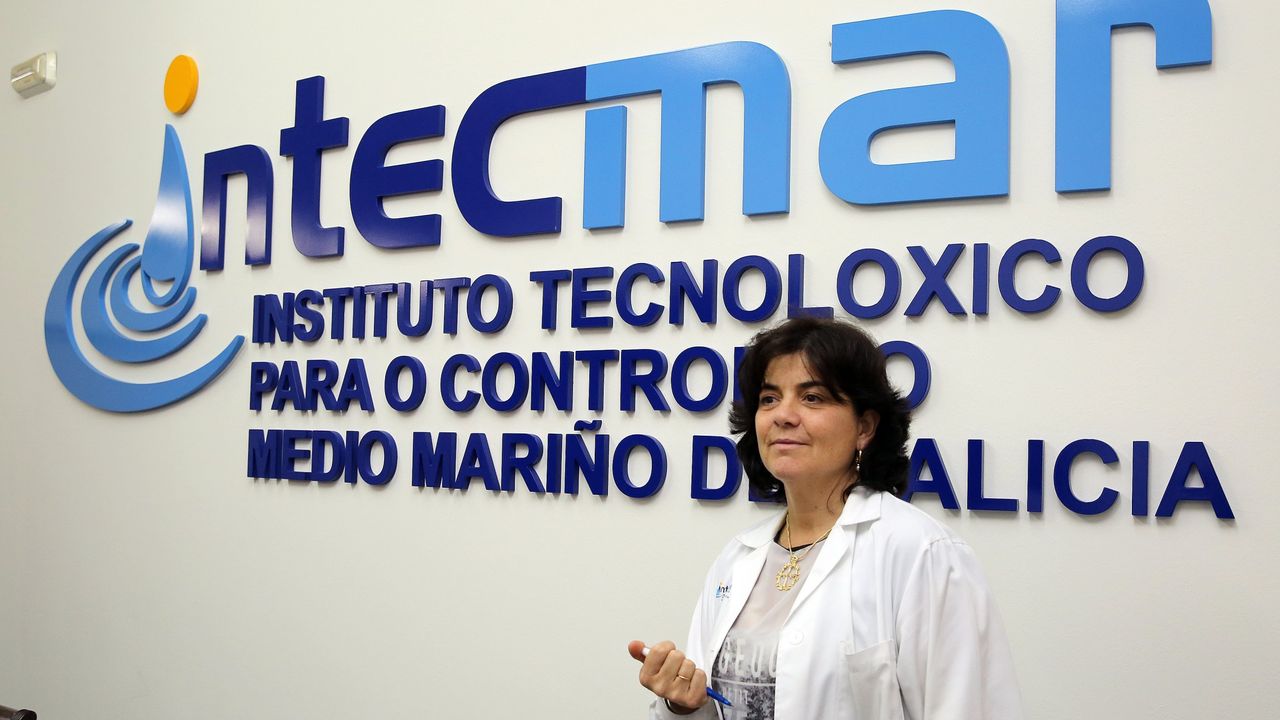 Intecmar aumenta su presupuesto un 8 % hasta los 3,6 millones de euros