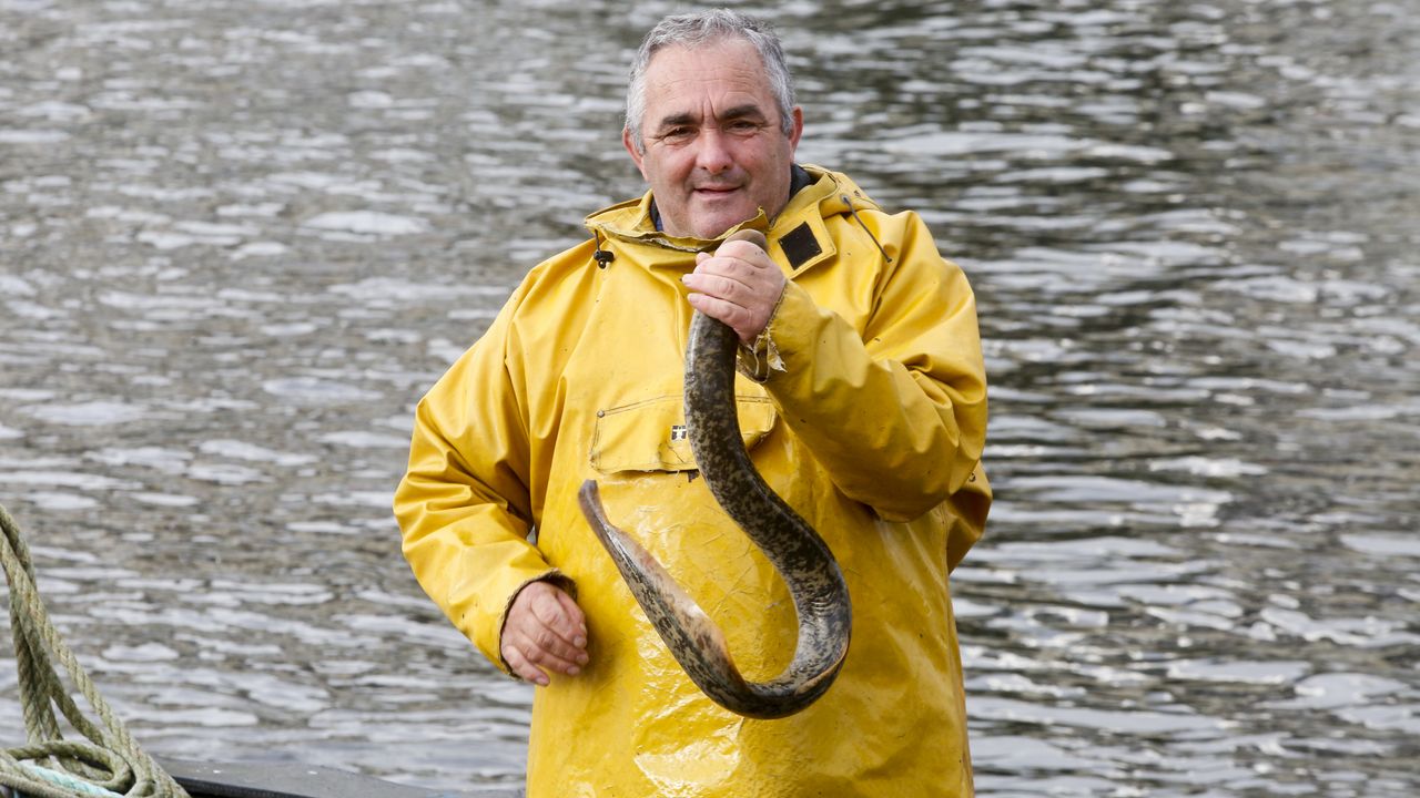 Excelentes capturas de lamprea