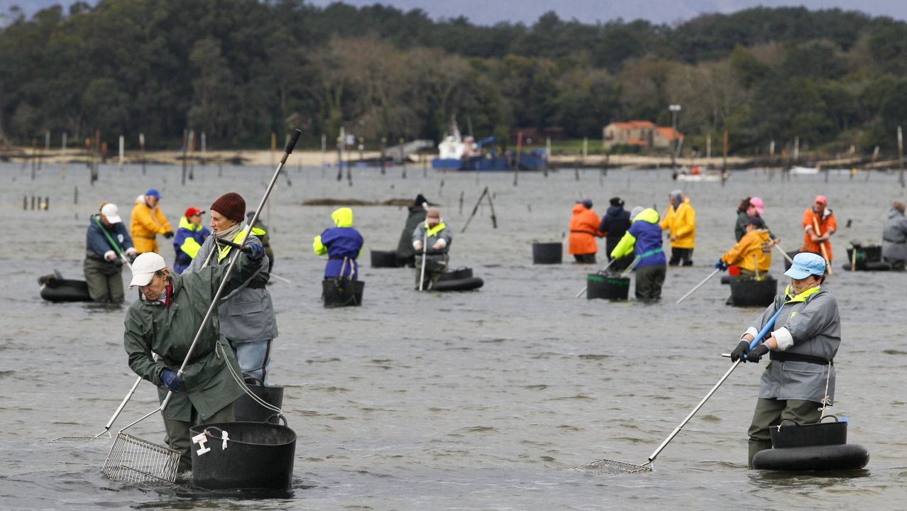 El 40 % de las mujeres del sector del mar gallego trabajan en la ría de ...