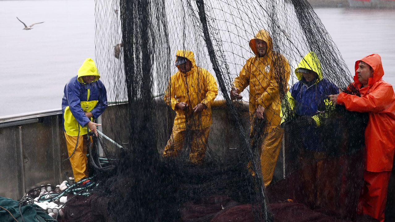 El Gobierno propone a la flota faenar por turnos para no saturar el mercado