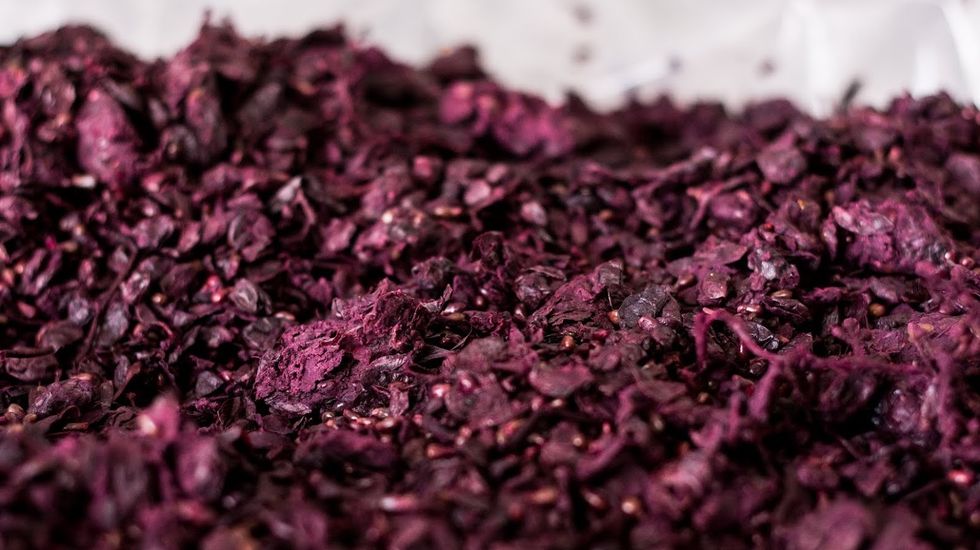 Las viñas abonadas con un compost del bagazo dan vinos de más calidad