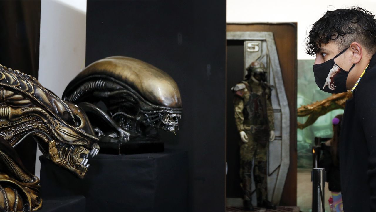 Una exposición guapa para un bicho feo