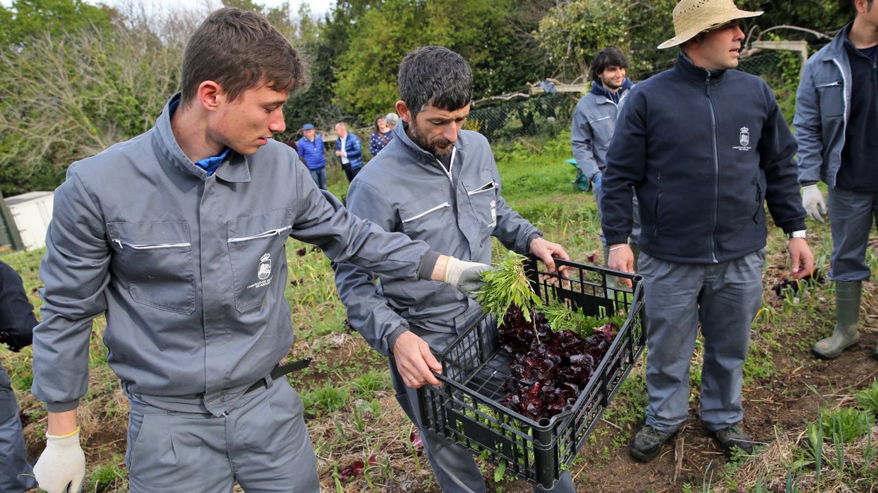 Galicia marca las pautas en la nueva agricultura ecológica