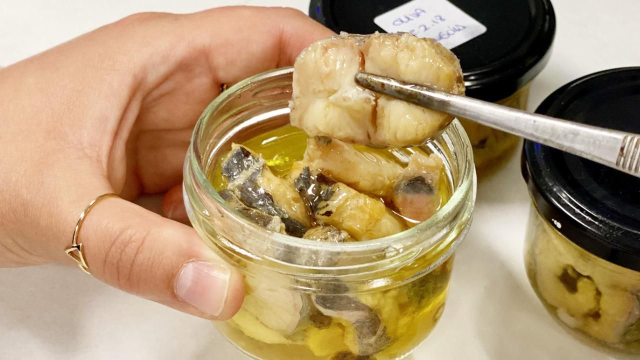 Anguila en lata, ¿por qué no?