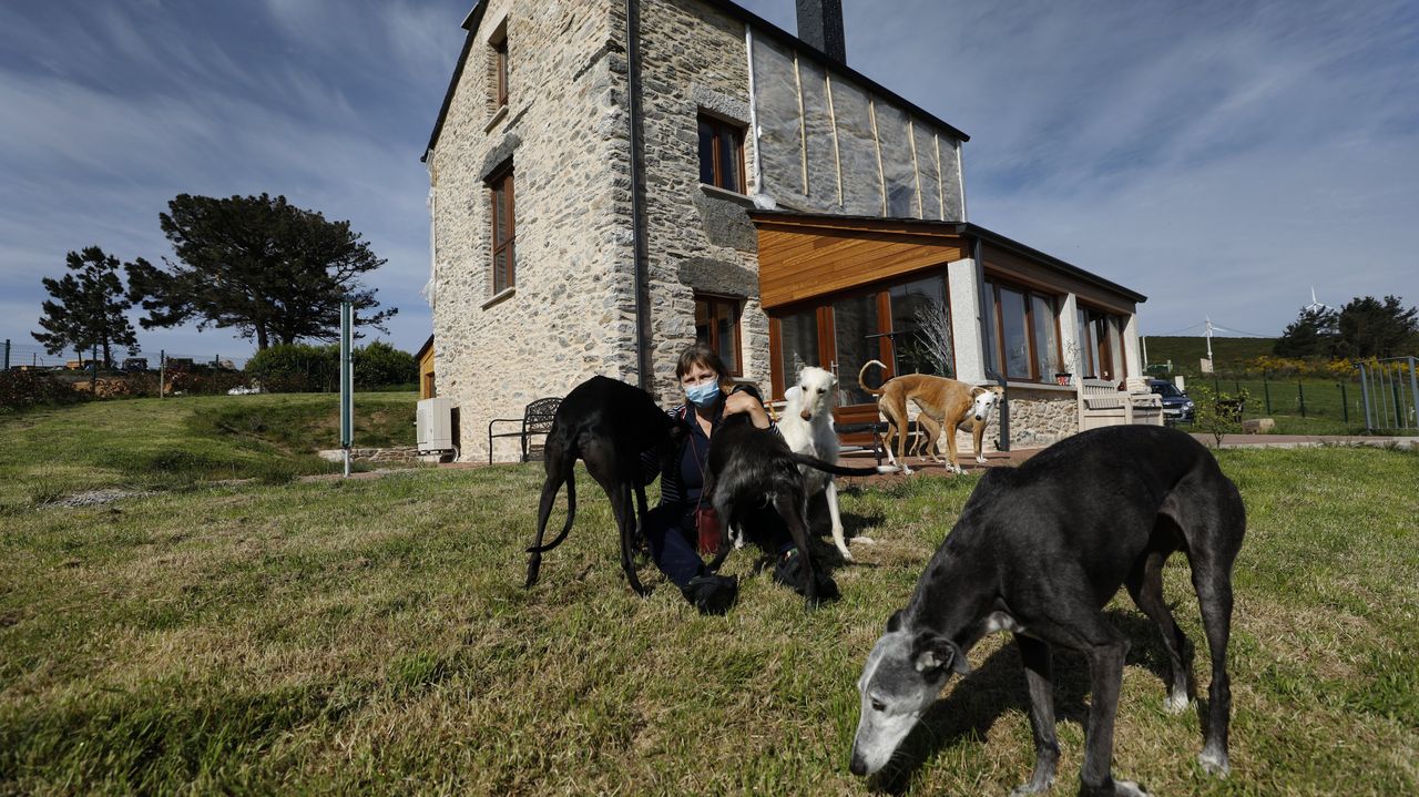 Una aldea turística vegana y refugio de galgos abrirá el 1 de julio en ...