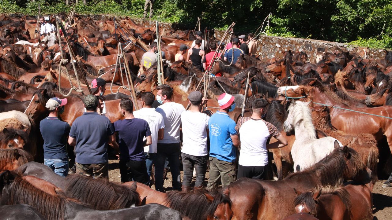El primer curro con público tras el covid
