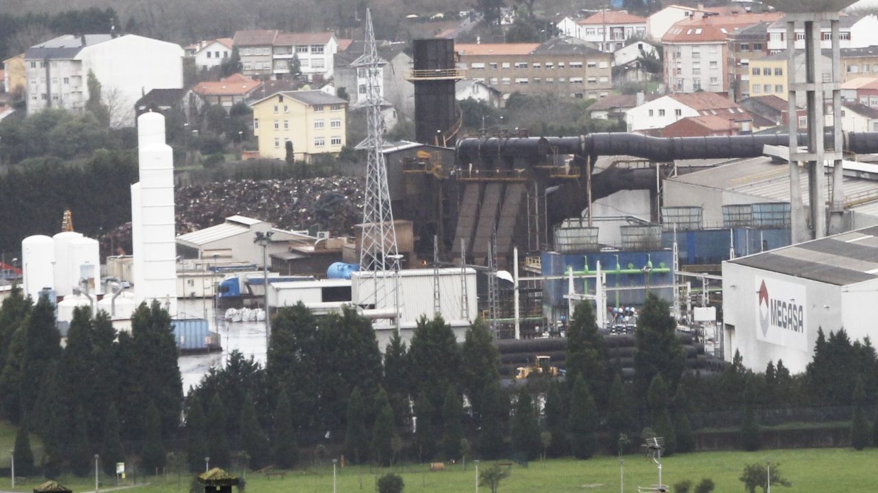 Megasa esquiva la pandemia y multiplica por seis los beneficios de la ...