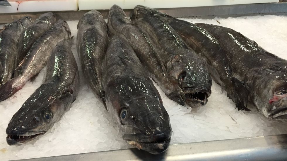 Rusia detona la guerra por la merluza negra en las remotas Georgias del sur