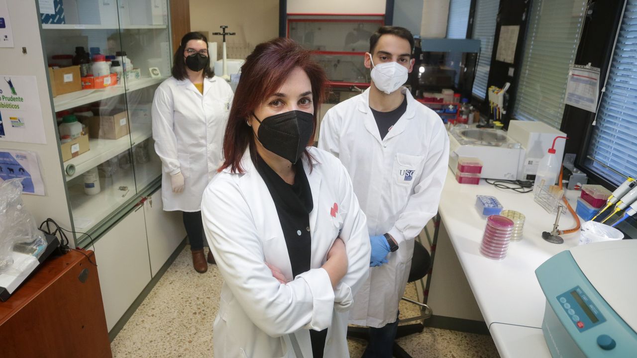 Azucena Mora, profesora de la Facultade de Veterinaria de Lugo, entre las científicas más ...