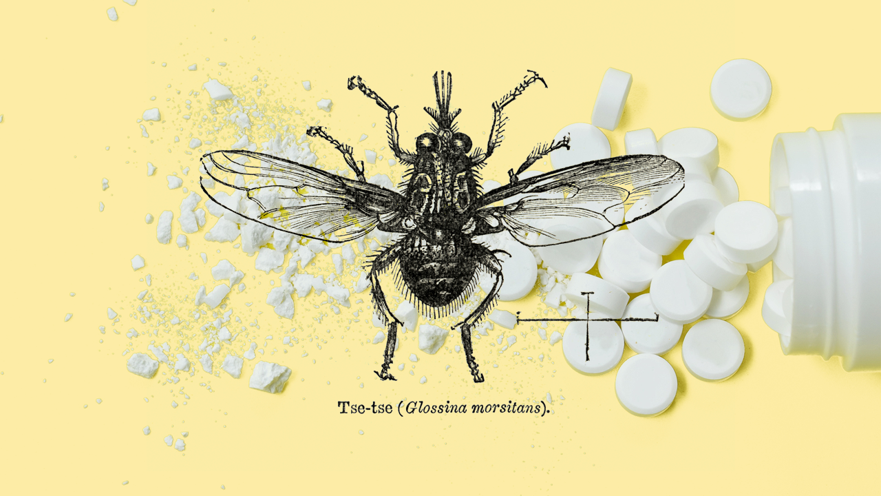 La enfermedad del sueño supera el arsénico y el anticongelante como ...