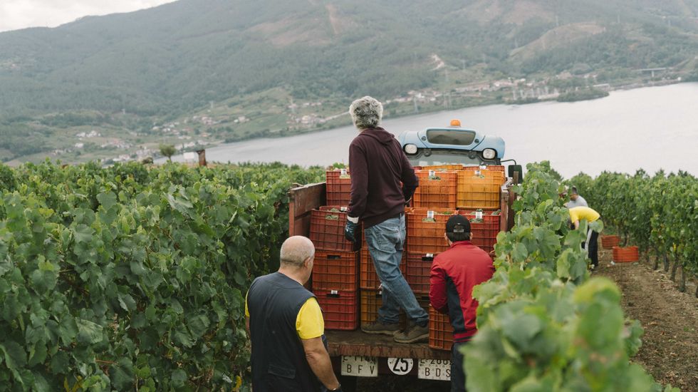 Milagro en O Ribeiro