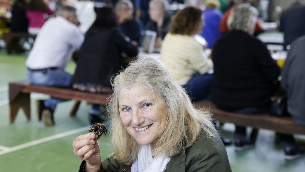 Los percebes de pena Lopesa y el pemento do Couto fueron las estrellas ...