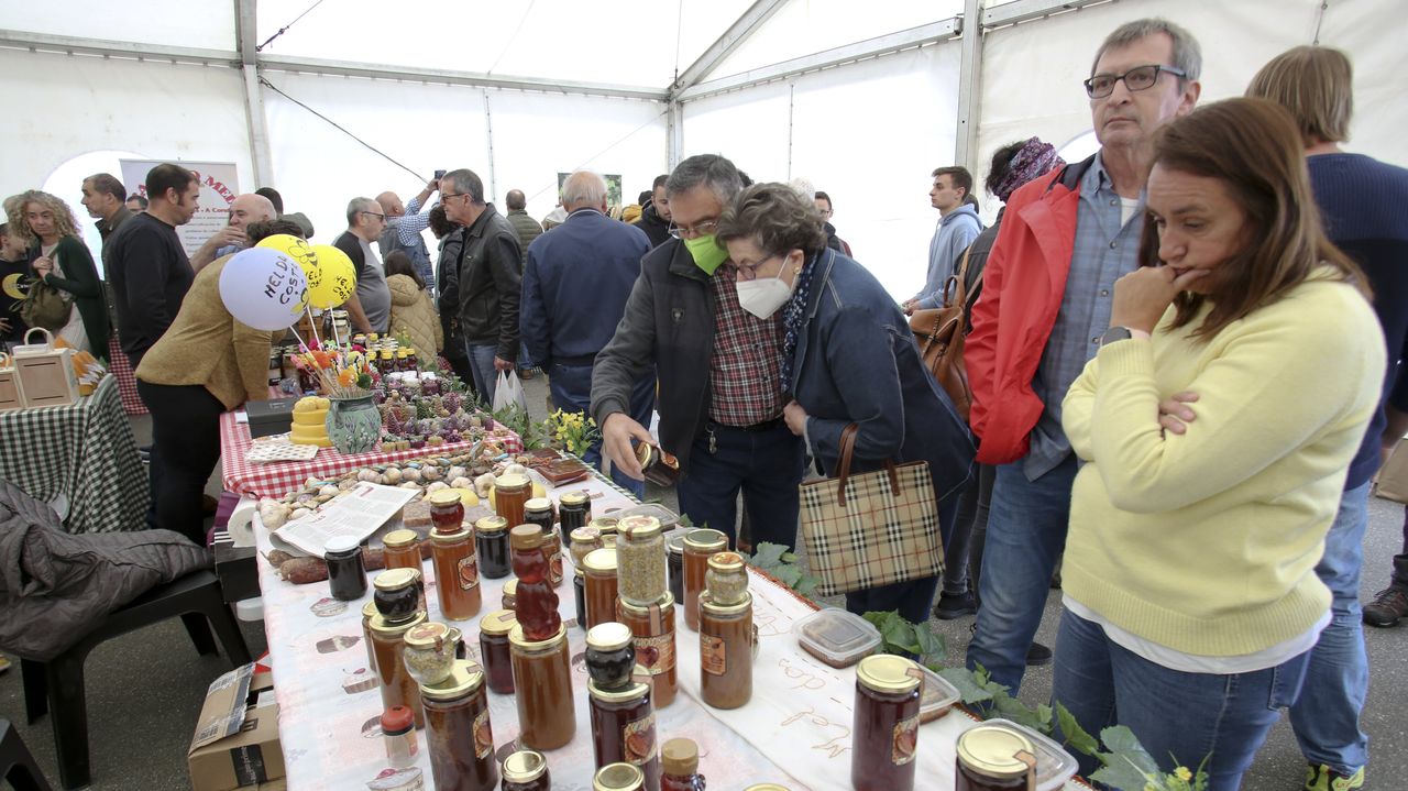 La feria de Goente se convirtió en un escaparate para nuevas propuestas ...