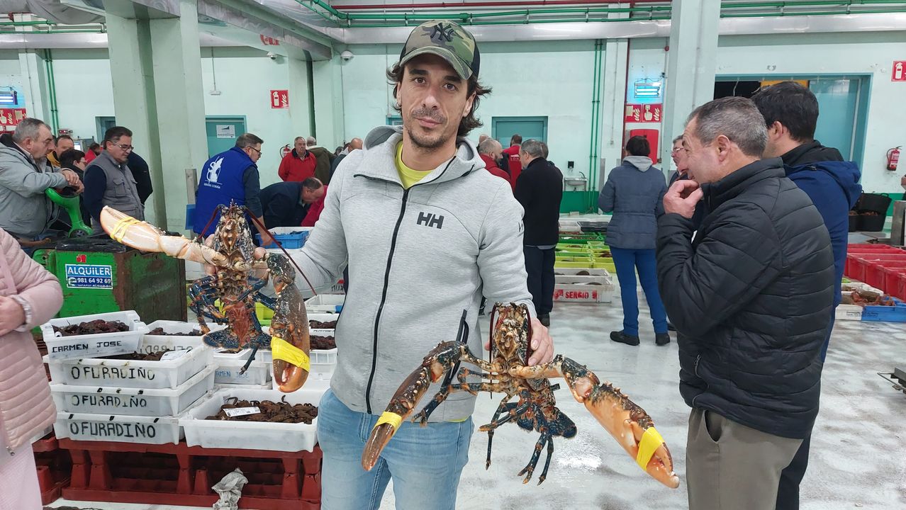 El precio del marisco echa el freno, pero el del pescado se desboca