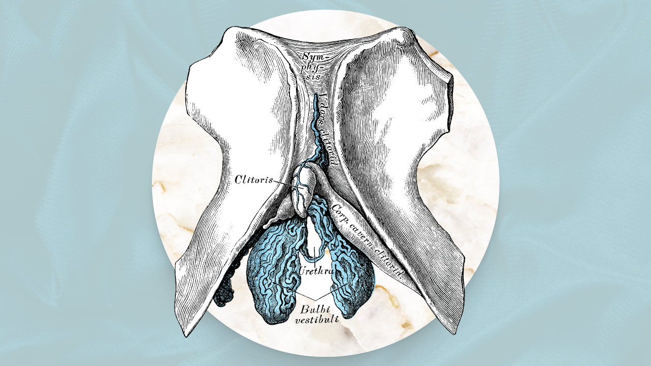 La historia del órgano redescubierto una y otra vez: «La insistencia en la idea de que el ...