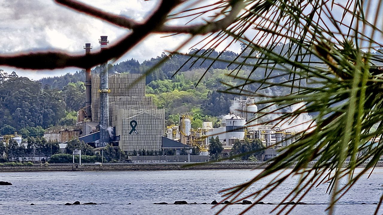 ¿Cómo ha sido el recorrido judicial de Ence y cómo será a partir de ahora?