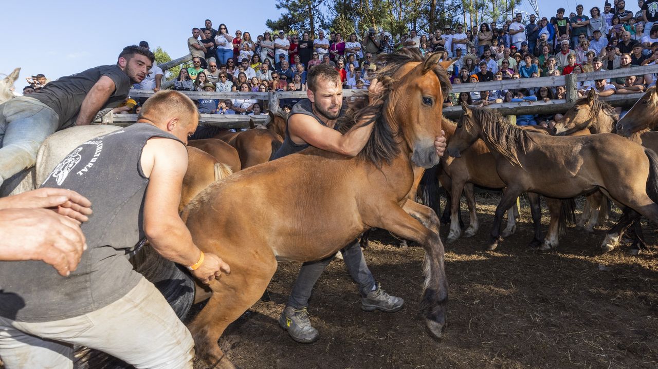 El 25 aniversario de la Rapa das Bestas, en imágenes